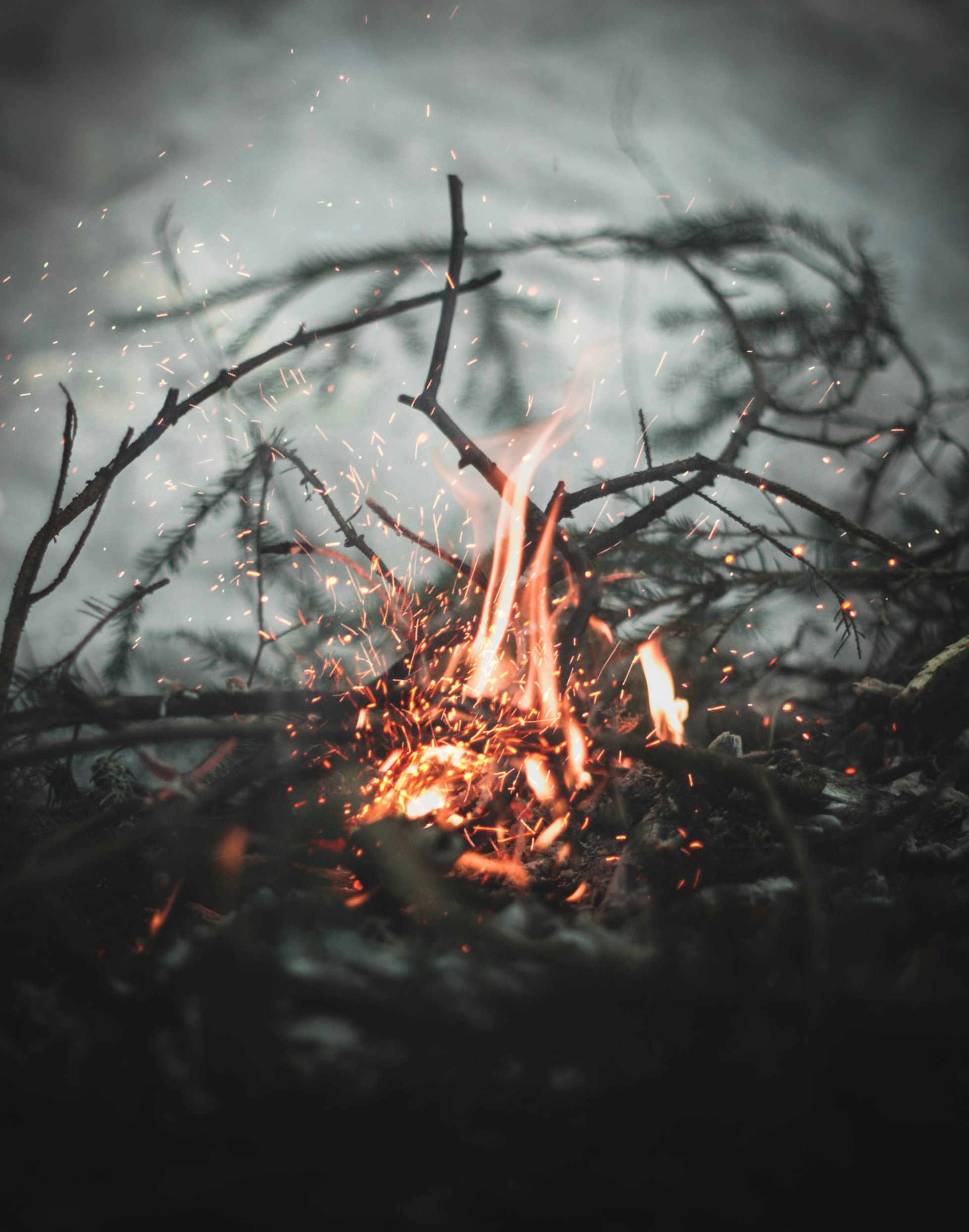 Early Forest Fire Detection | EarthToolsMaker Early Forest Fire Detection | EarthToolsMaker